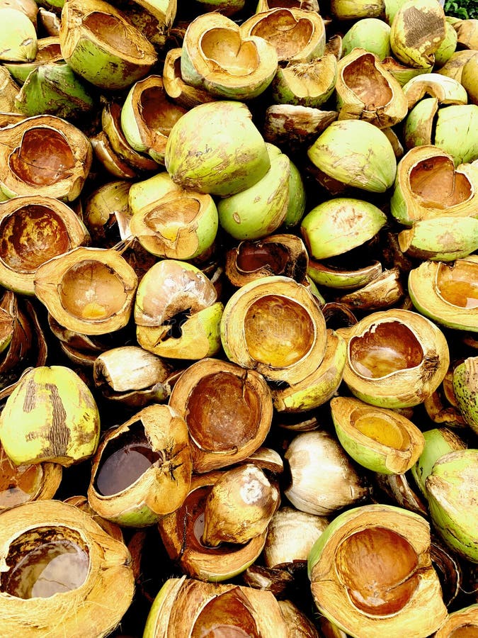 Pile of Empty Coconut Shells in Vibrant Natural Texture and Color Stock ...