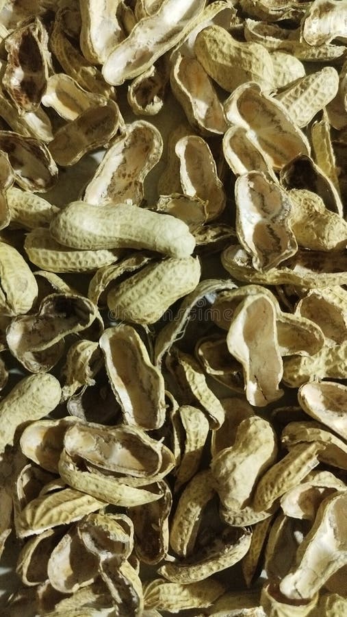 A Pile of Empty Peanut Shells Stock Photo - Image of peanut, shells ...