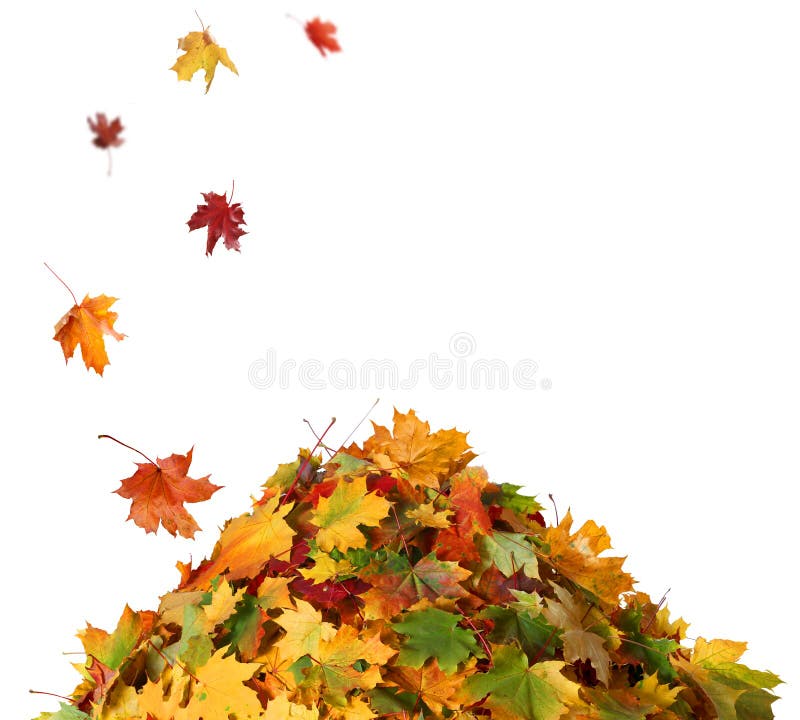 Fall Leaf Pile Clipart
