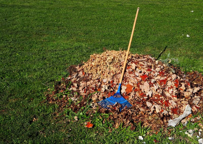 A blue rake stock vector. Illustration of agriculture - 33098412