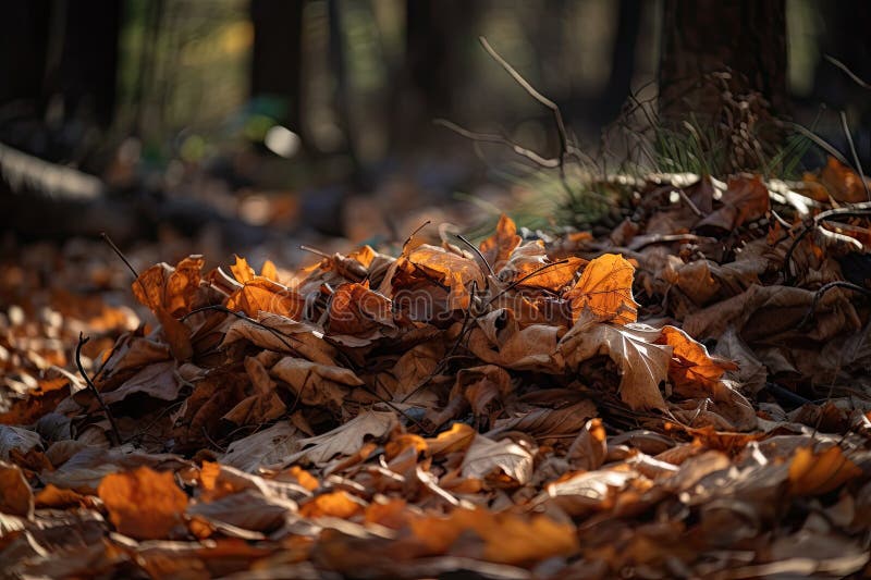 Leaves Rustling Stock Illustrations – 2,559 Leaves Rustling Stock ...