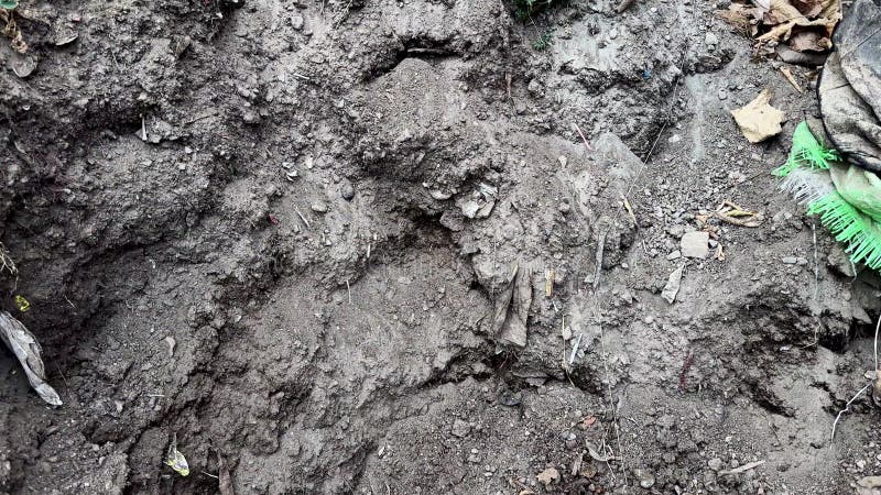 Pile of Fertile Compost Soil for Growing Plants and Vegetable Stock ...