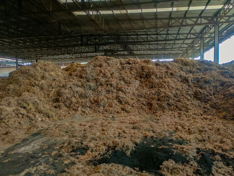 Pile of Fiber and Efb from Palm Fruit Stock Image - Image of market ...