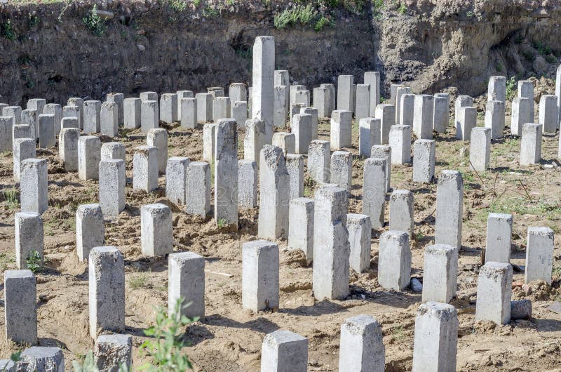 Pile Field for the Foundation in the Pit Editorial Photo - Image of ...