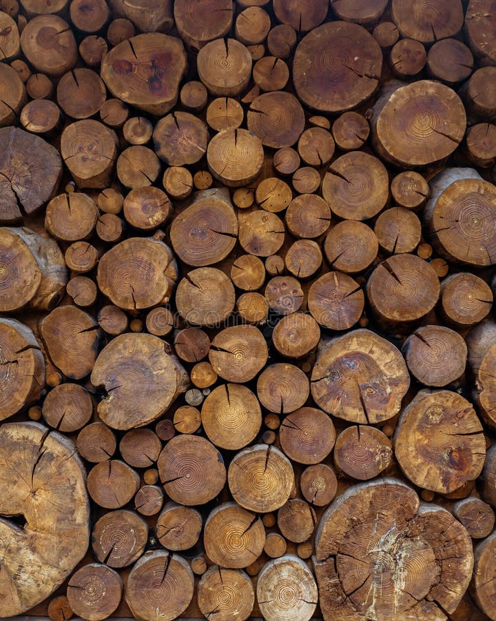 Pile of Fire Wood Stack in Random Order Stock Image - Image of pine ...