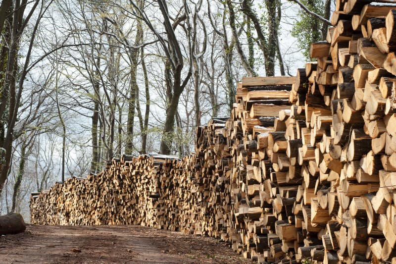 Logging pine log piles stock photo. Image of forest, lane - 4948660 Logging pine log piles stock photo. Image of forest, lane - 4948660
