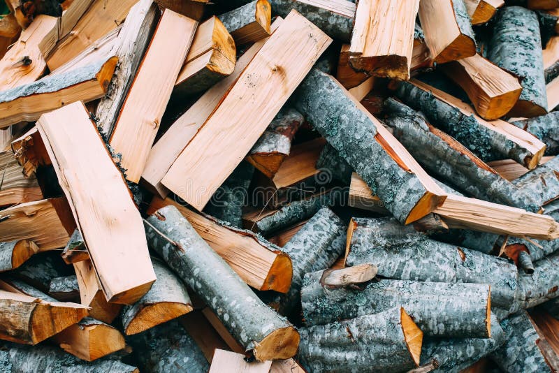 Pile of Firewood in the Forest. Stock Image - Image of nature, chopped ...