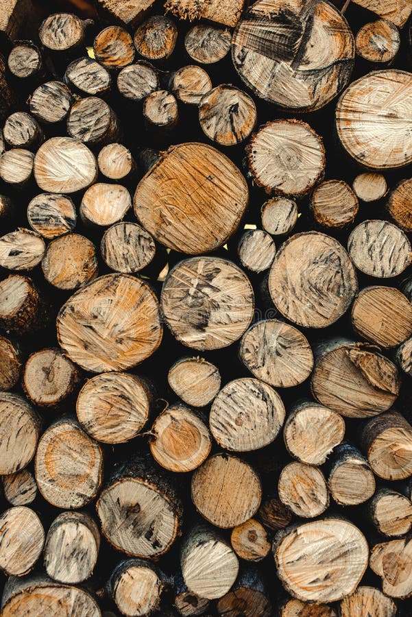 692 Deforestation Vertical Stock Photos - Free & Royalty-Free Stock ...