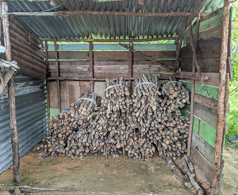 A Pile of Firewood in a Simple Hut Stock Photo - Image of traditional ...