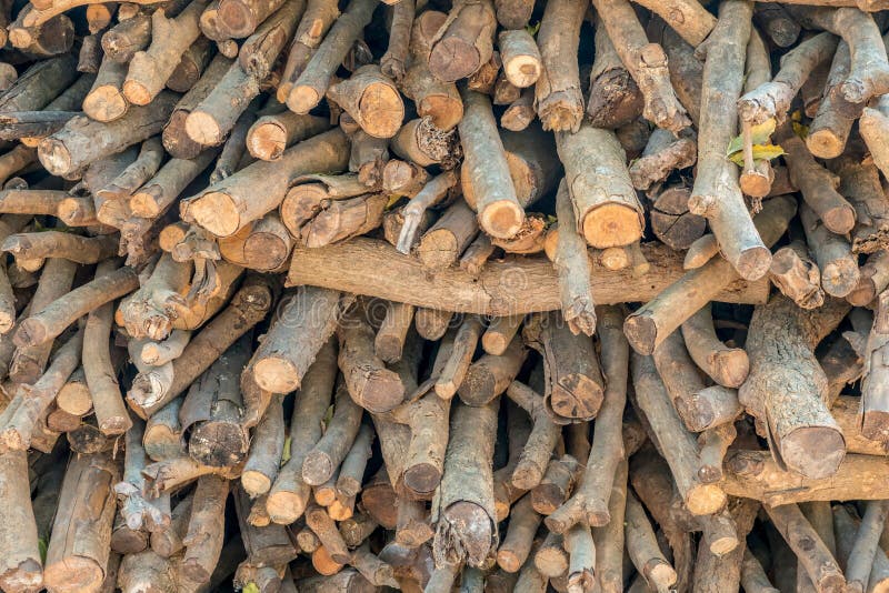 Pile of Firewood in a Stack Ready for Burning or Winter Stock Image ...