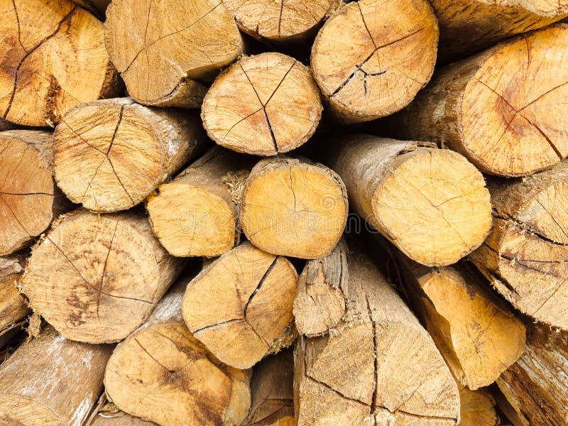 Pile of Forest Logs Arranged for Firewood Stock Photo - Image of pile ...