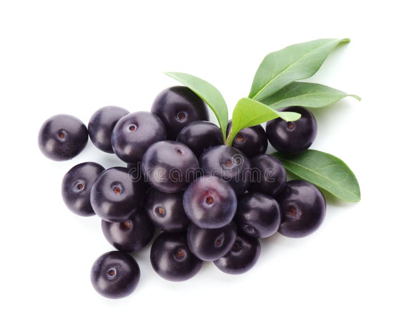 Pile of Fresh Acai Berries with Leaves Isolated, Top View Stock Image ...