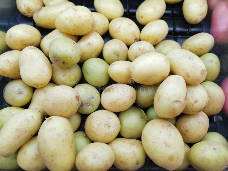 Pile of Fresh Australian Potatoes Stock Photo - Image of fruit, pile ...