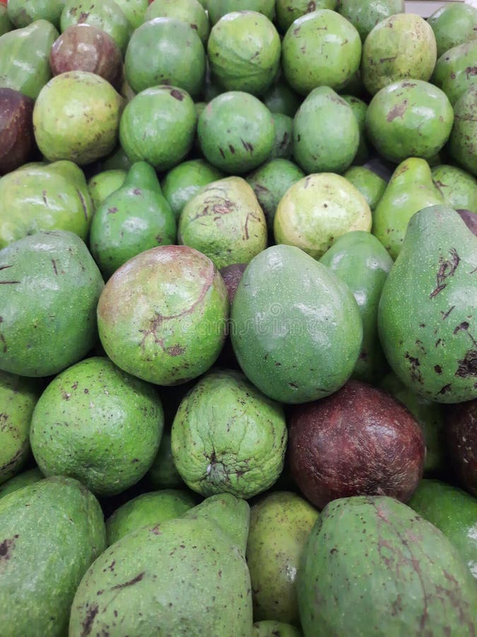 Pile of Fresh Avocados in Various Colors and Sizes Stock Image - Image ...