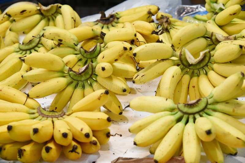Pile Bananas Stock Images - Download 3,231 Royalty Free Photos