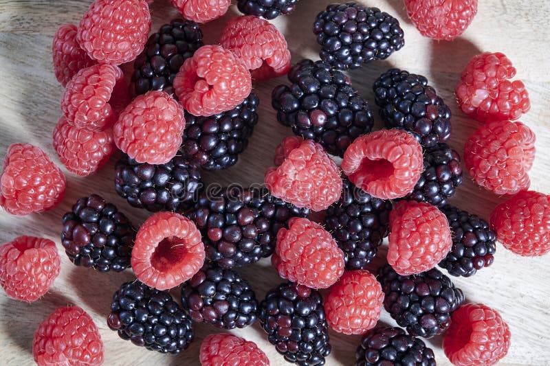 Pile of Fresh Berries, Top View Stock Image - Image of dessert, fresh ...