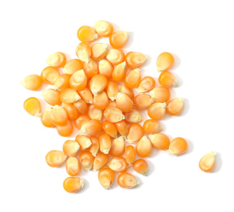 Pile of Fresh Corn Kernels Isolated on White, Top View Stock Image ...