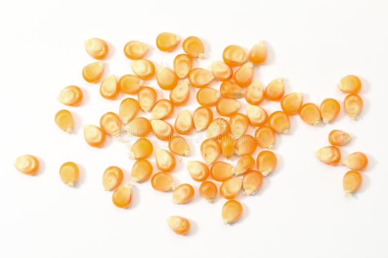 Pile of Fresh Corn Kernels Isolated on White, Top View Stock Photo ...