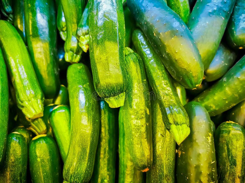 Pile of Fresh Cucumbers Top View, Green Background. Stock Photo - Image ...
