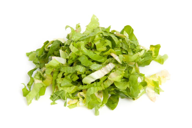 Pile of fresh cut endive stock image. Image of food, green - 15119335