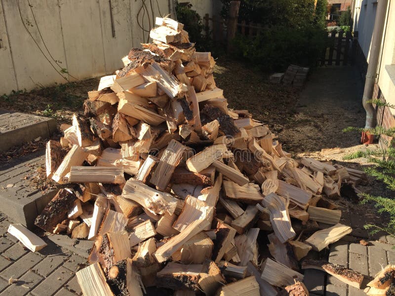 Pile of fresh cut wood stock image. Image of fall, gardening - 66308565