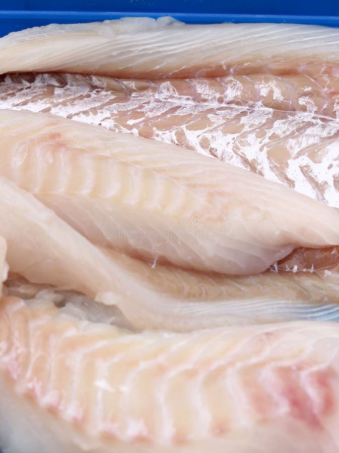 Codfish Filets on at Fish Market Stock Photo - Image of cellophane ...