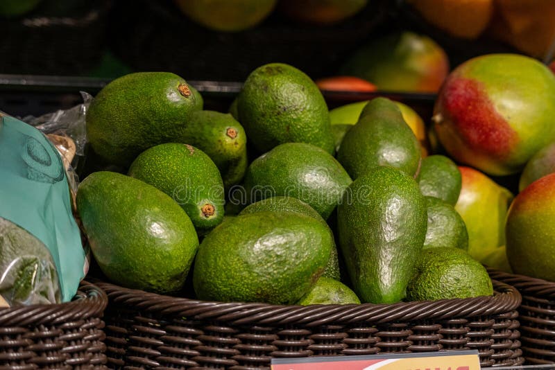 A Pile of Fresh, Green Avocados. Stack of Fresh Green Avocados at ...