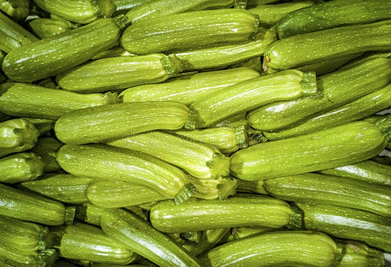 Pile of Fresh Green Marrow is Ready for Cooking Stock Image - Image of ...