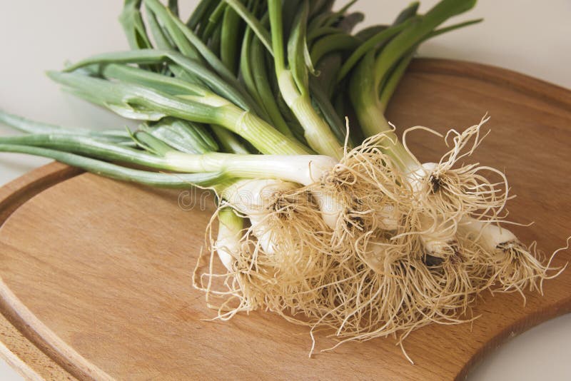 Green onions with roots stock photo. Image of green, wood - 55460700