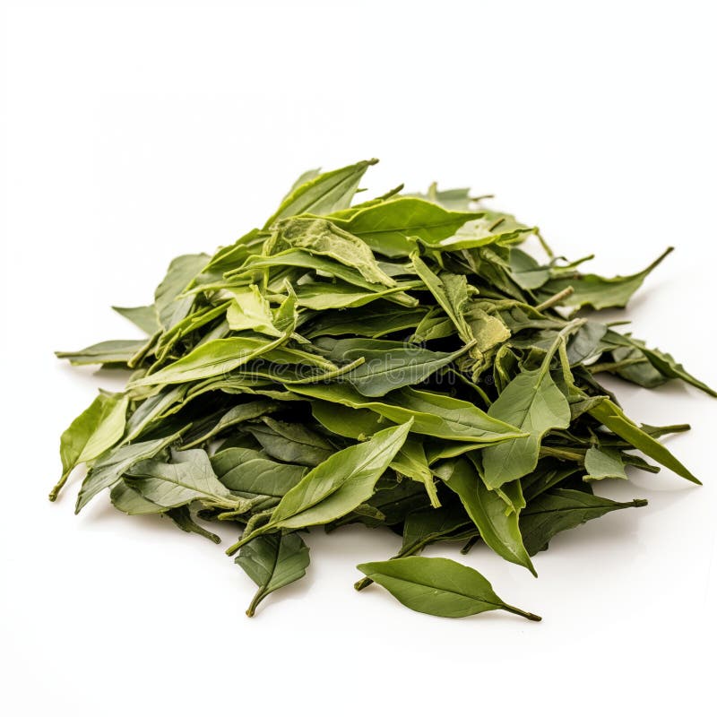 Pile of Fresh Green Tea Leaves Isolated on White Background Stock ...