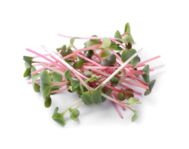 Pile of Fresh Microgreen Isolated on White Stock Image - Image of ...