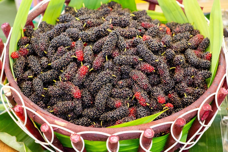 Pile of Fresh Mulberries in Basket Stock Image - Image of berry, morus ...