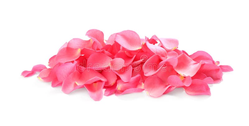 Pile of Fresh Pink Rose Petals on Background Stock Photo - Image of ...