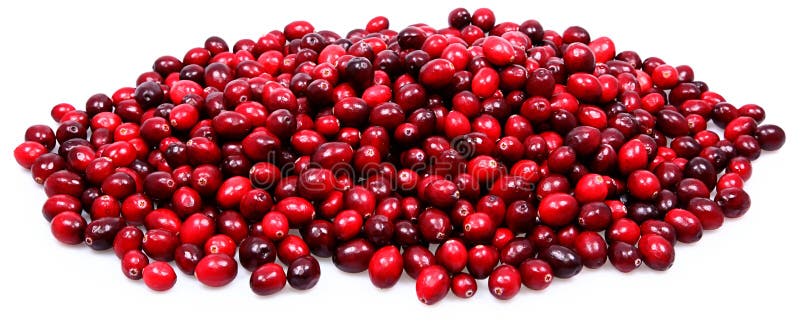Pile of Fresh Raw Cranberries Stock Photo - Image of cranberry, tower ...