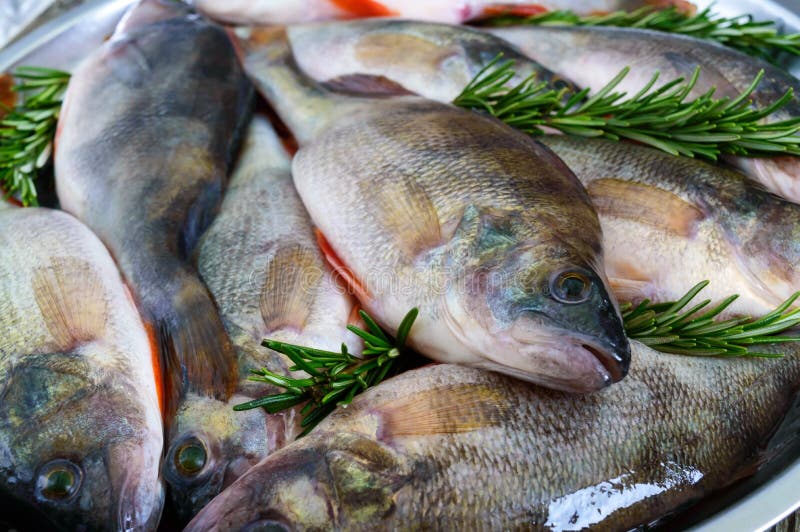 A Pile of Fresh Raw Fish on a Tray. Close-up. Carp Stock Image - Image ...