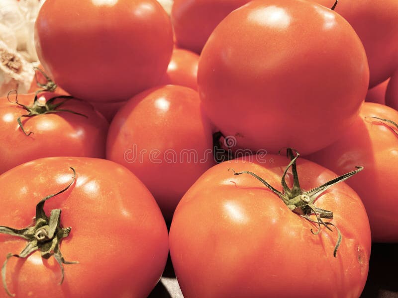 Pile of Fresh Ripe Tomatoes Stock Photo - Image of ingredient ...