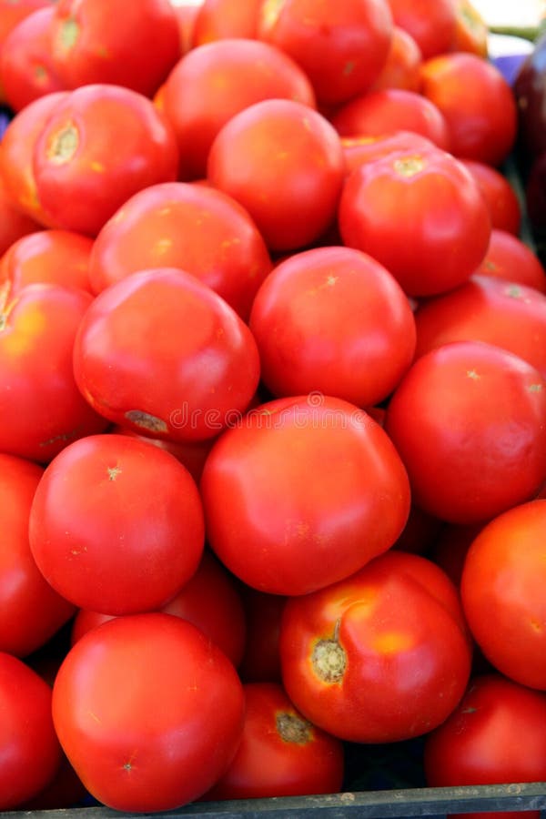 Pile of Fresh Ripe Tomatoes Stock Image - Image of tomatoes, heaped ...