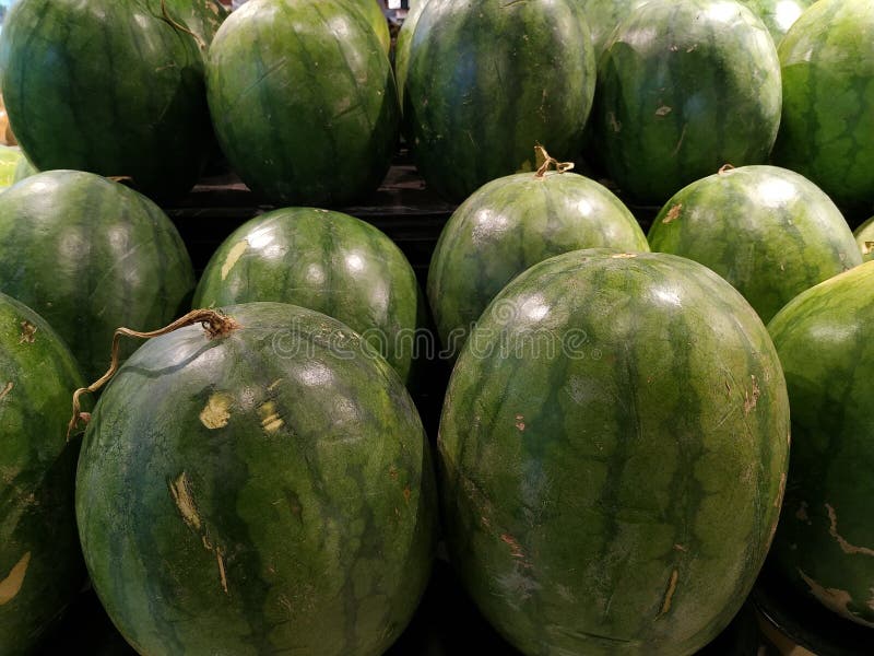 Pile of Fresh Watermelon in Supermarket Stock Photo - Image of yellow ...