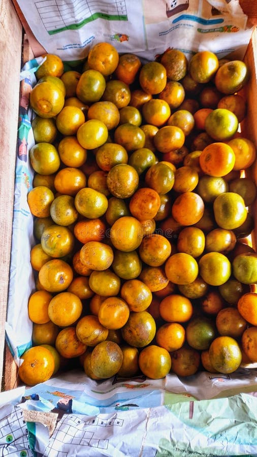 Pile of Fresh Yellow Orange Orange Fruit in a Box Editorial Image ...