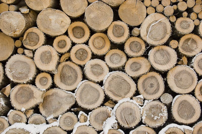 Pile of frozen logs stock image. Image of fuel, frozen - 7668037