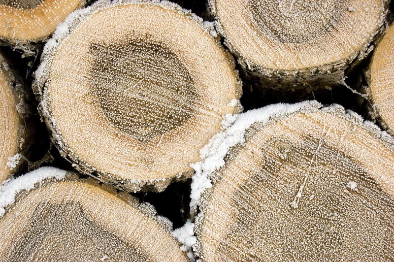 Pile of frozen logs stock image. Image of round, fuel - 7668077