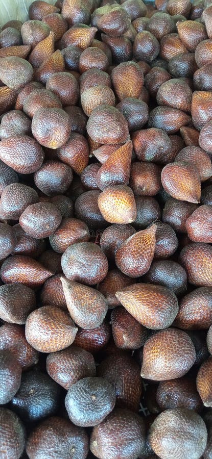 A Pile of Fruit Called Salak in a Basket Stock Image - Image of salak ...