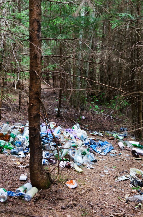 A Pile of Garbage in the Autumn Forest. Toxic Plastic is Everywhere in ...