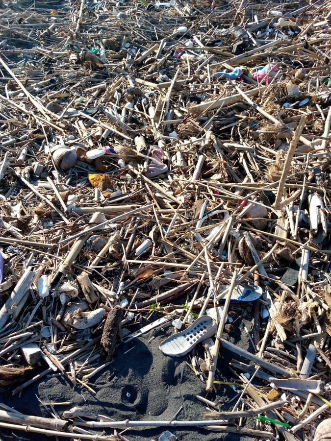 A Pile of Garbage Consisting of Organic and Inorganic Waste that Has ...