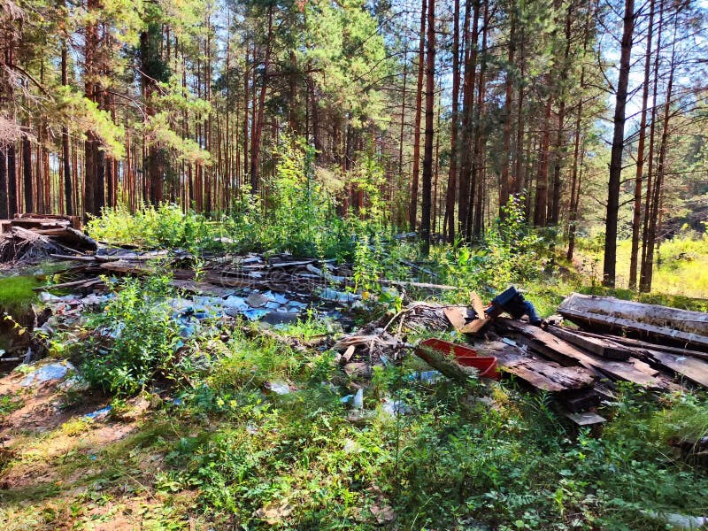 Pile of Garbage on Green Grass in the Nature Environment Problems ...