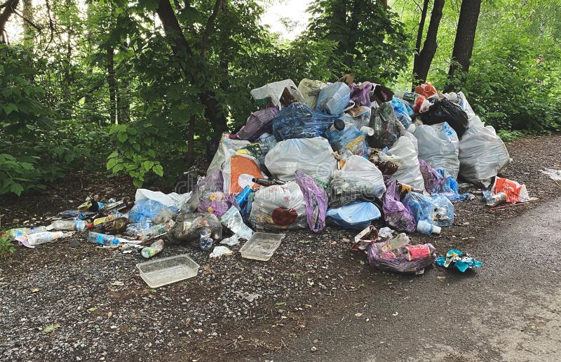 Pile of Garbage Lies on the Road in the Forest. Environmental Pollution ...