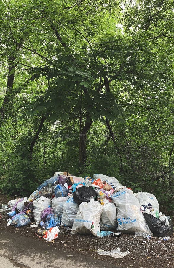 Pile of Garbage Lies on the Road in the Forest. Environmental Pollution ...