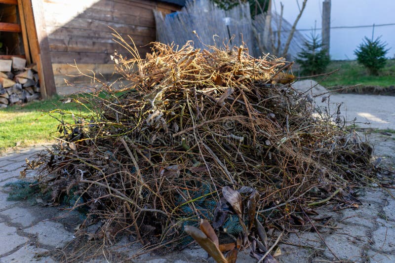 Pile of Garden Waste To Burn in the Garden Stock Image - Image of house ...