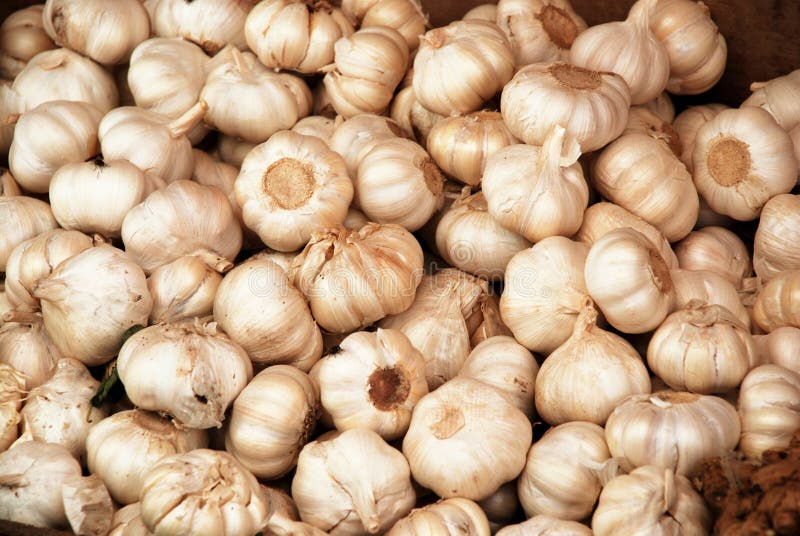 Pestled Stock Photos - Free & Royalty-Free Stock Photos from Dreamstime