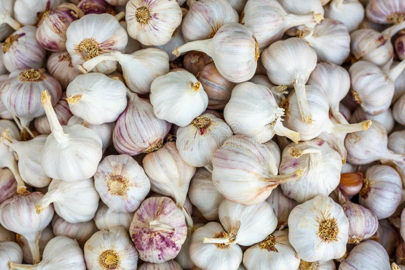 Garlic Top View. Garlic Cloves and Garlic Bulbs on Dark Wooden ...